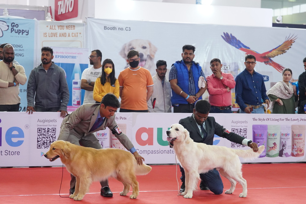 Past Events - Petex India 2025