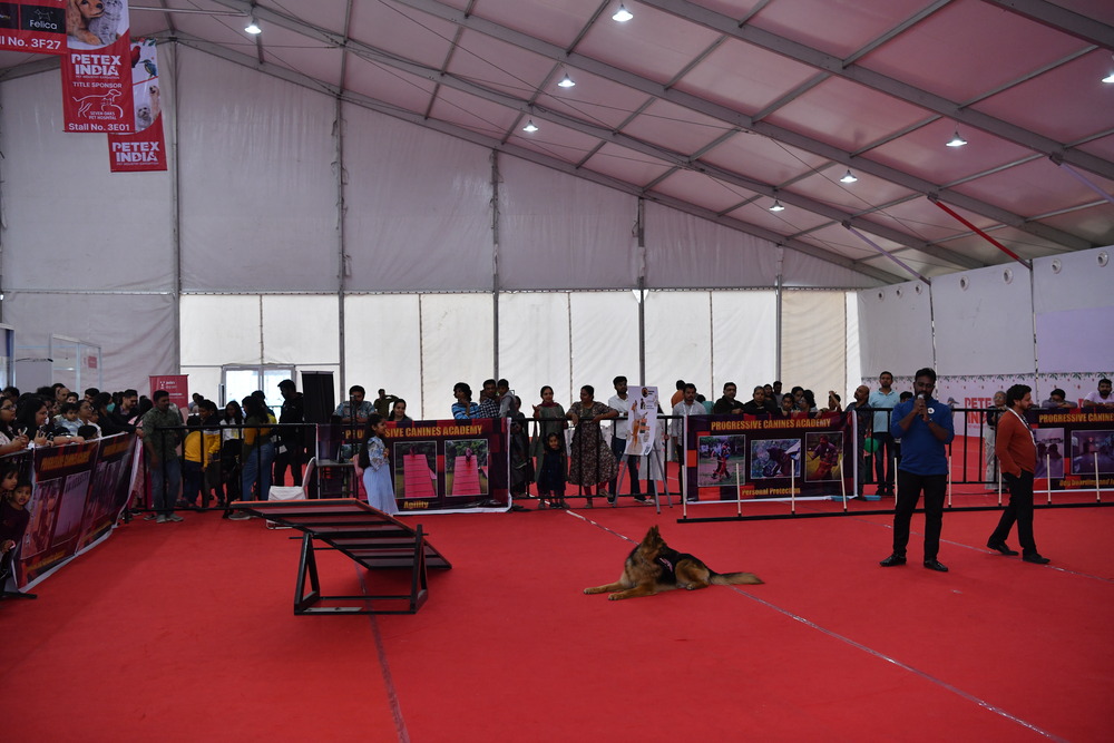 Past Events - Petex India 2025